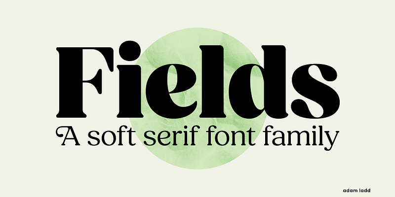 Fields Font Family: A Perfect Blend of Vintage Charm and Modern ...