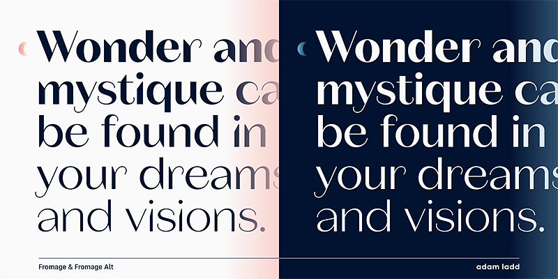 Fromage Font Family: A Bold and Expressive Typeface by Adam Ladd – Font ...